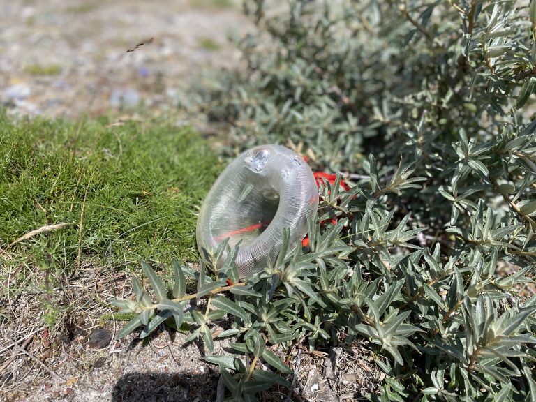 Homepage - instrumentinventors.org